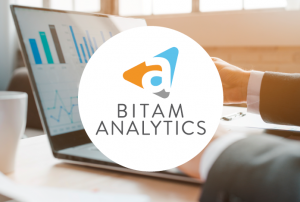 Bitam – Asesoria en Informatica